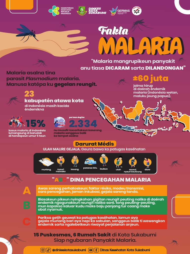 Flyer Malaria | PDF