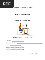 PROCEDIMIENTO Ergonomia Reba | PDF | Seguridad y salud ocupacional