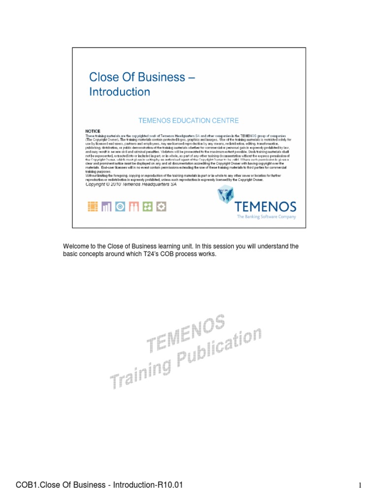 Understanding T24 COB1 Processes | PDF