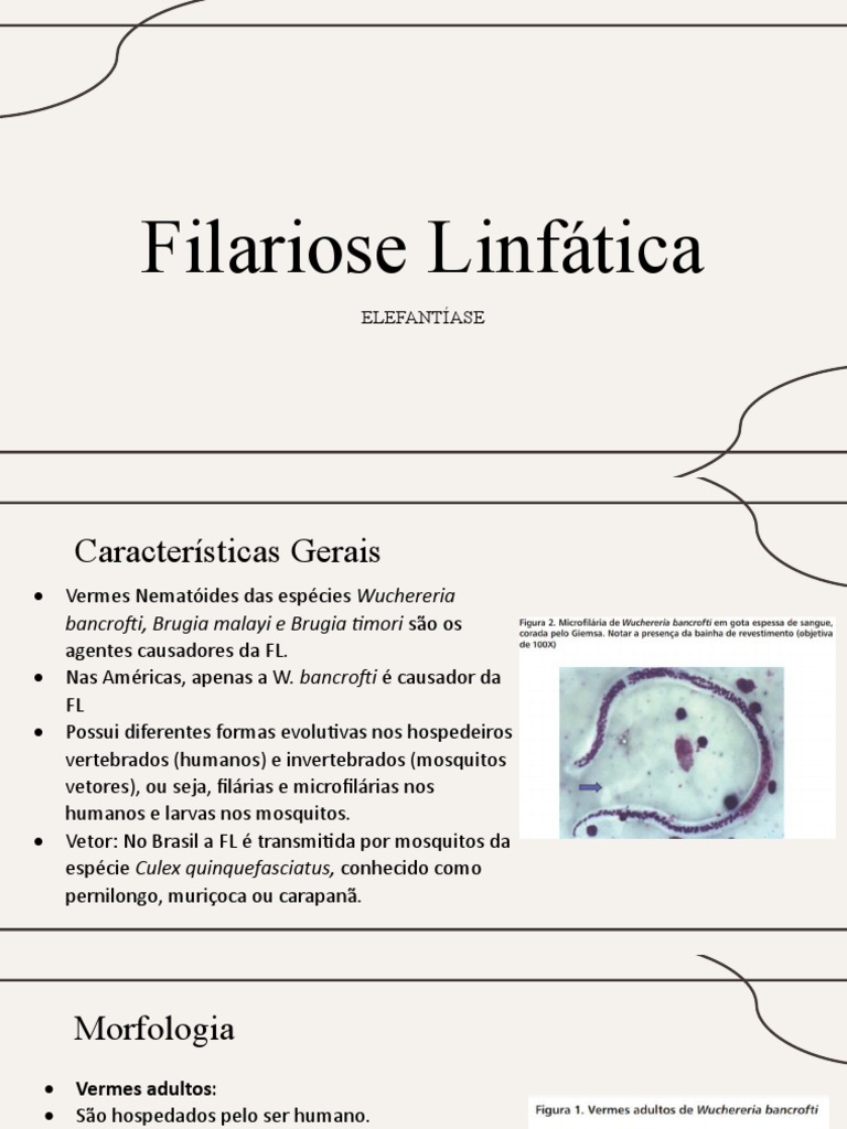 Filariose Linfática: Guia Completo | PDF | Sistema imunológico ...
