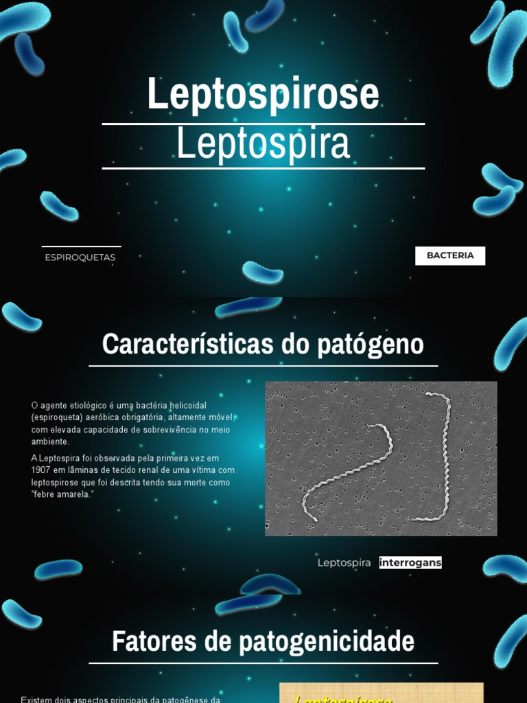 Slides Sobre Leptospirose | PDF | Ciências e Matemática