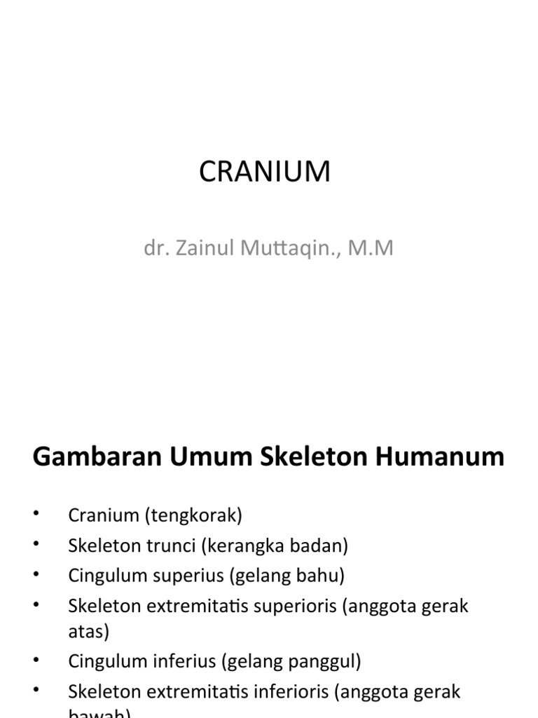CRANIUM | PDF