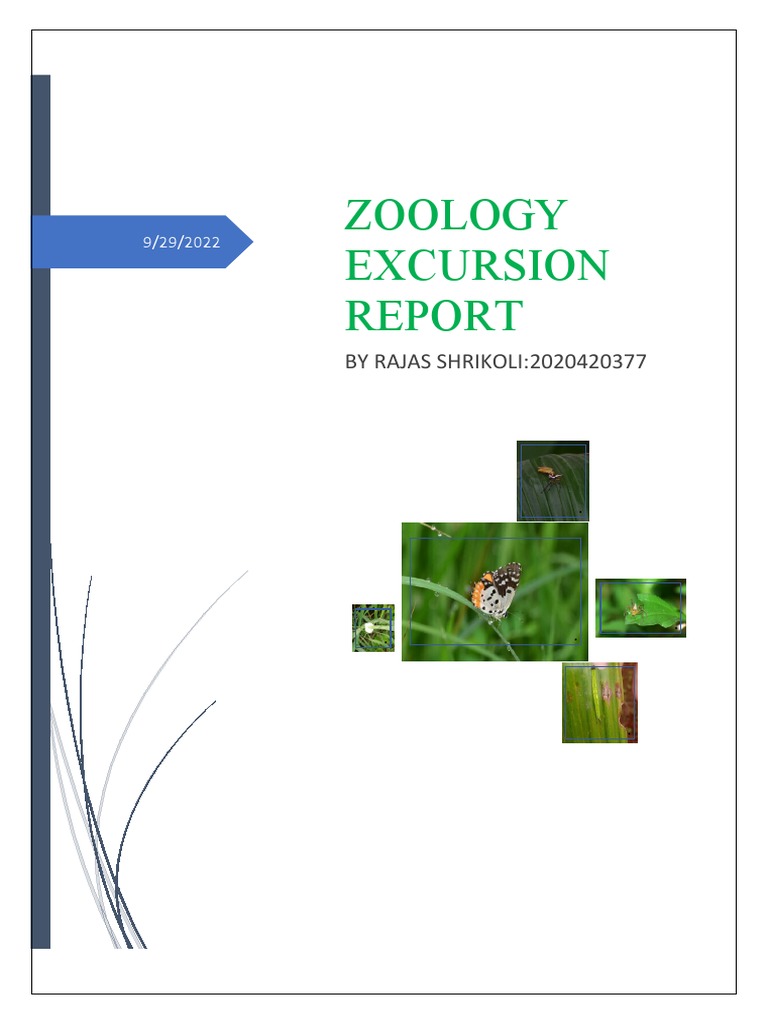 Excursion Report | PDF
