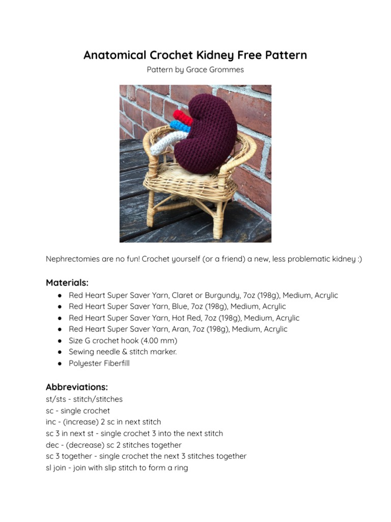 Free Anatomical Crochet Kidney Pattern | PDF | Teaching Methods ...