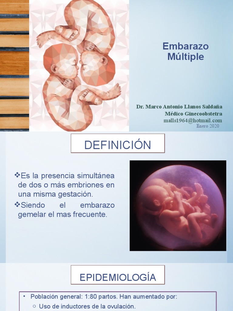 Embarazo Múltiple: Guía Completa | PDF | El embarazo | Gemelo