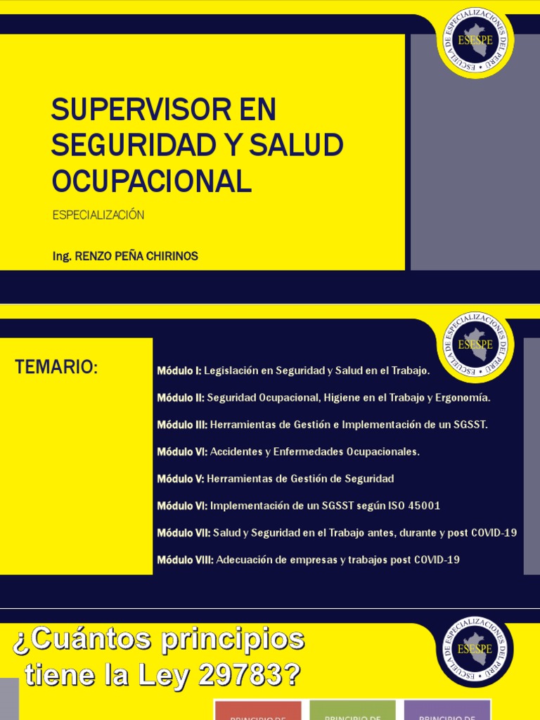 Modulo III Herramientas de Gestión e Implementación de Un SGSST | PDF