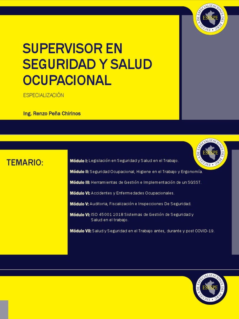 Modulo VI ISO 45001 2018 Sistemas de Gestión de Seguridad y Salud en El ...