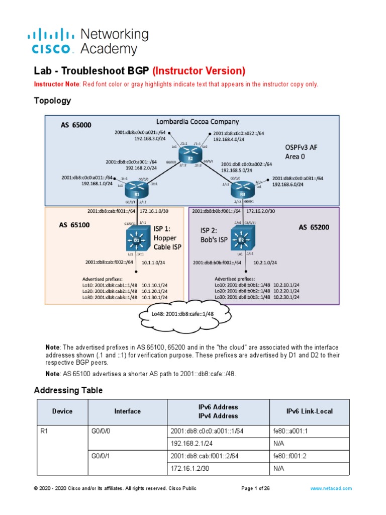 14.1.2 Lab - Troubleshooting BGP - ILM | PDF | I Pv6 | Ip Address
