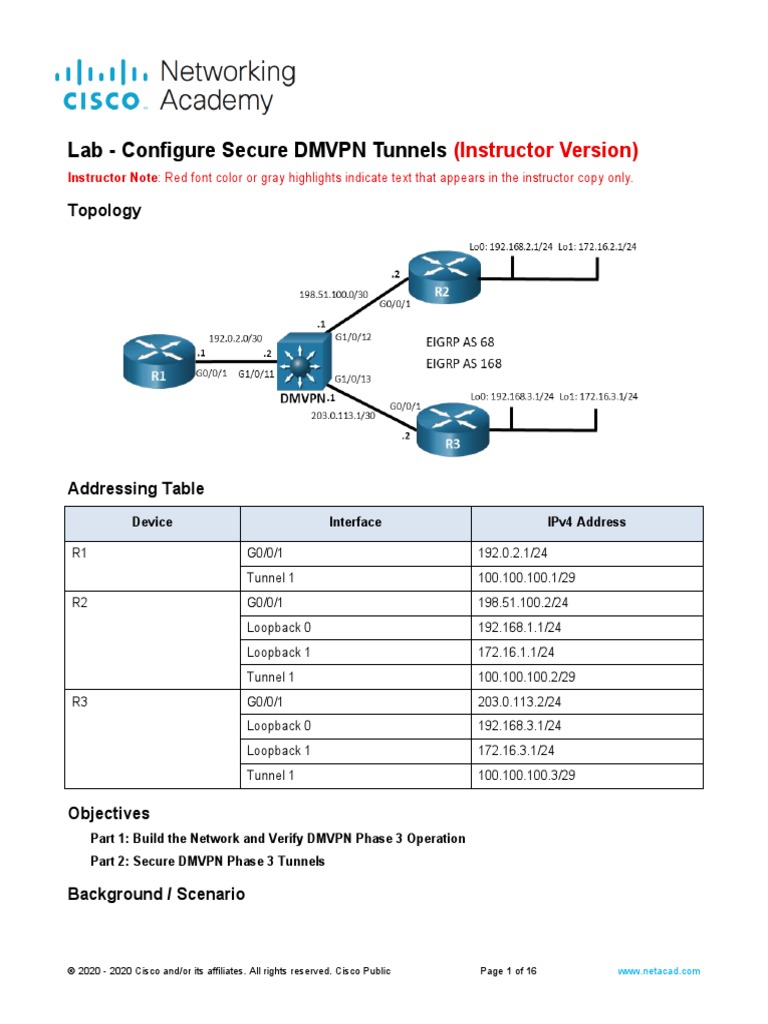20.1.2 Lab - Configure Secure DMVPN Tunnels - ILM | Download Free PDF | Ip Address | Router ...