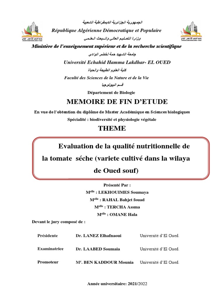 Memoire de Fin D'Etude | PDF
