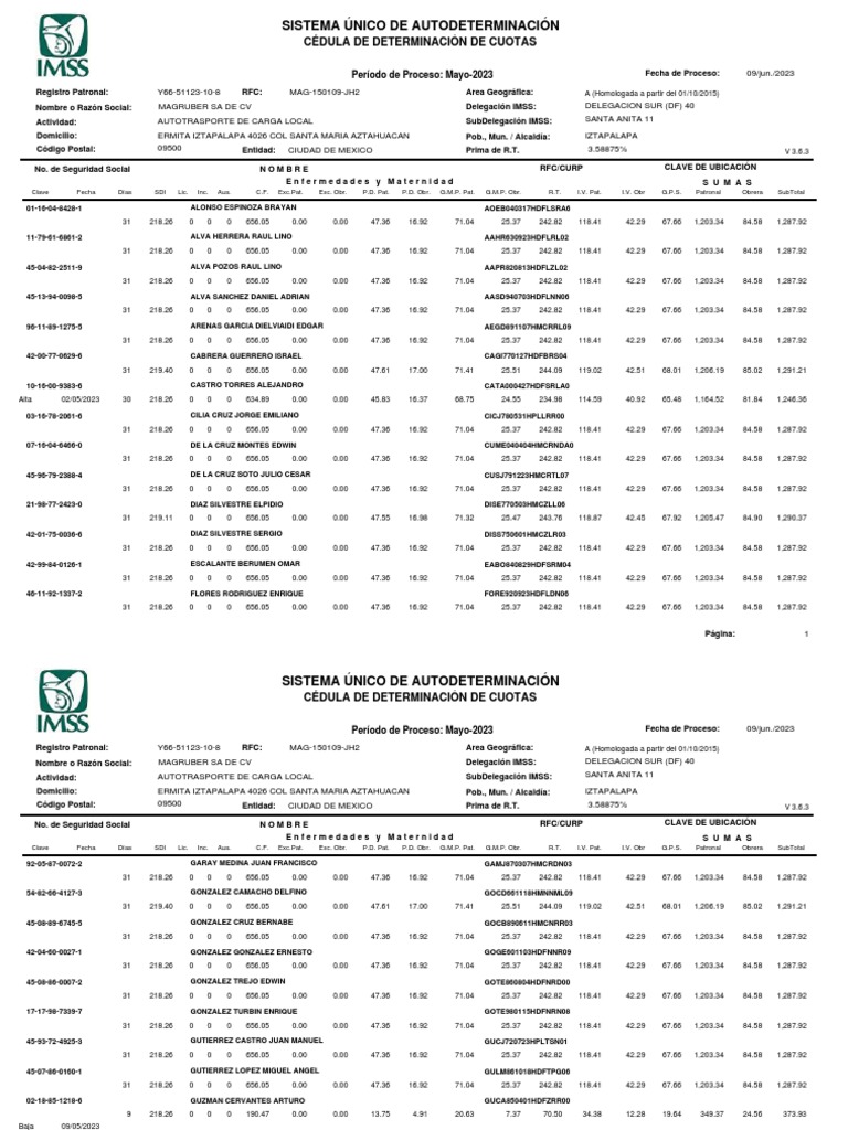 SUA GRUA Cedula IMSS Mayo 23 Magruber | PDF