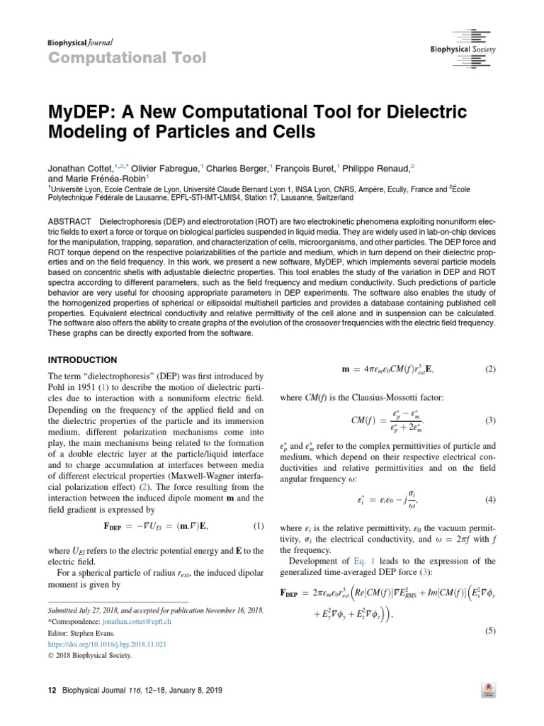 My DEP | PDF | Materials Science | Applied And Interdisciplinary Physics