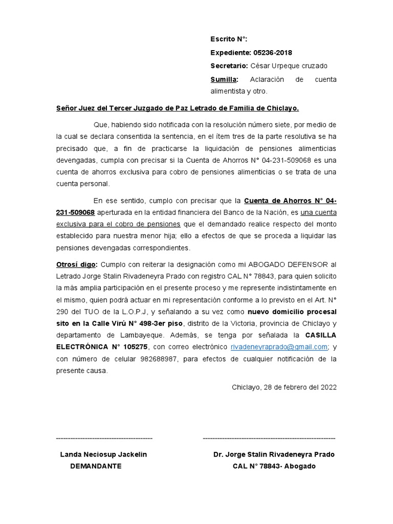 Reitero Abogado Defensor | PDF