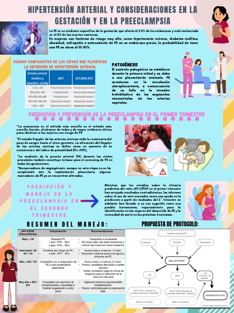 INFOGRAFIA Hipertension Arterial y Consideraciones en La Gestacion y ...