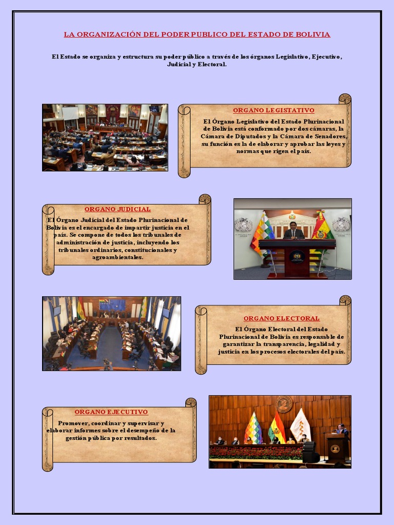 Organizacion de Poder Publico | PDF