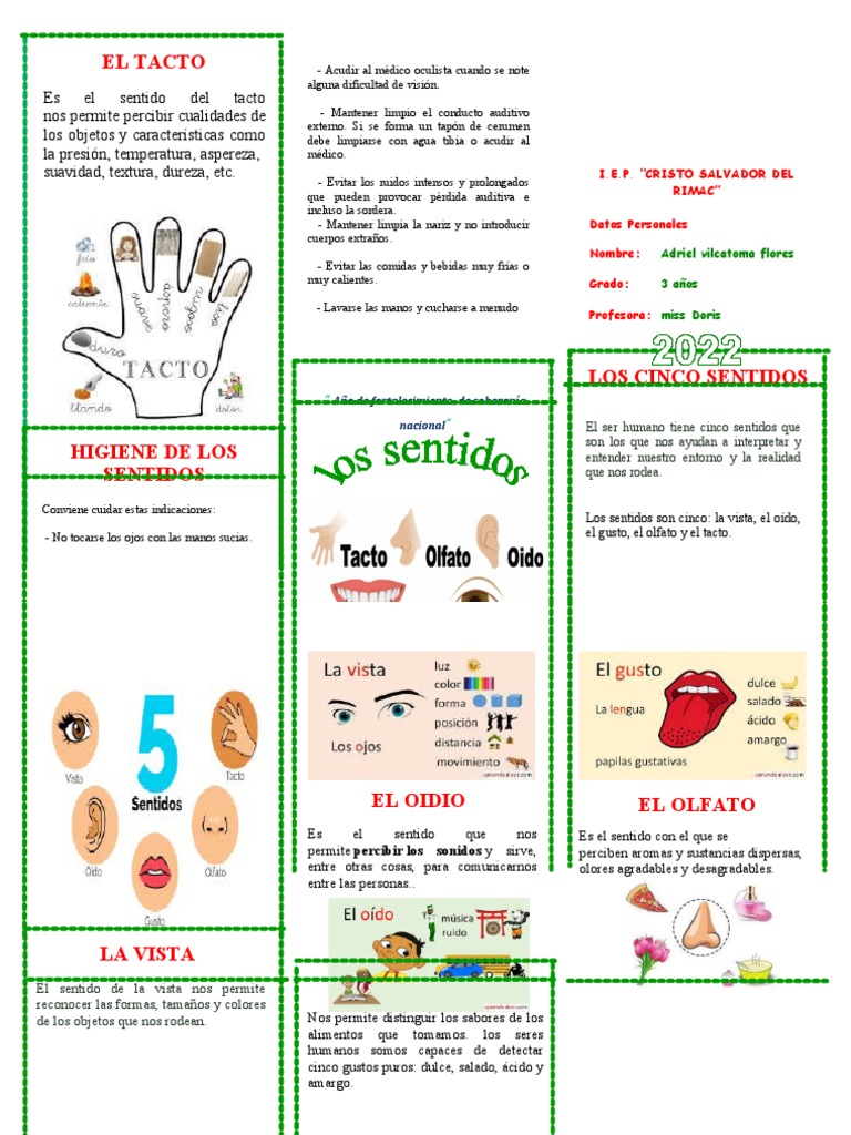 Triptico Los Sentidos | PDF