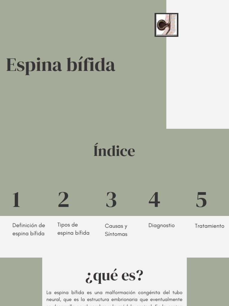Espina Bifida | PDF