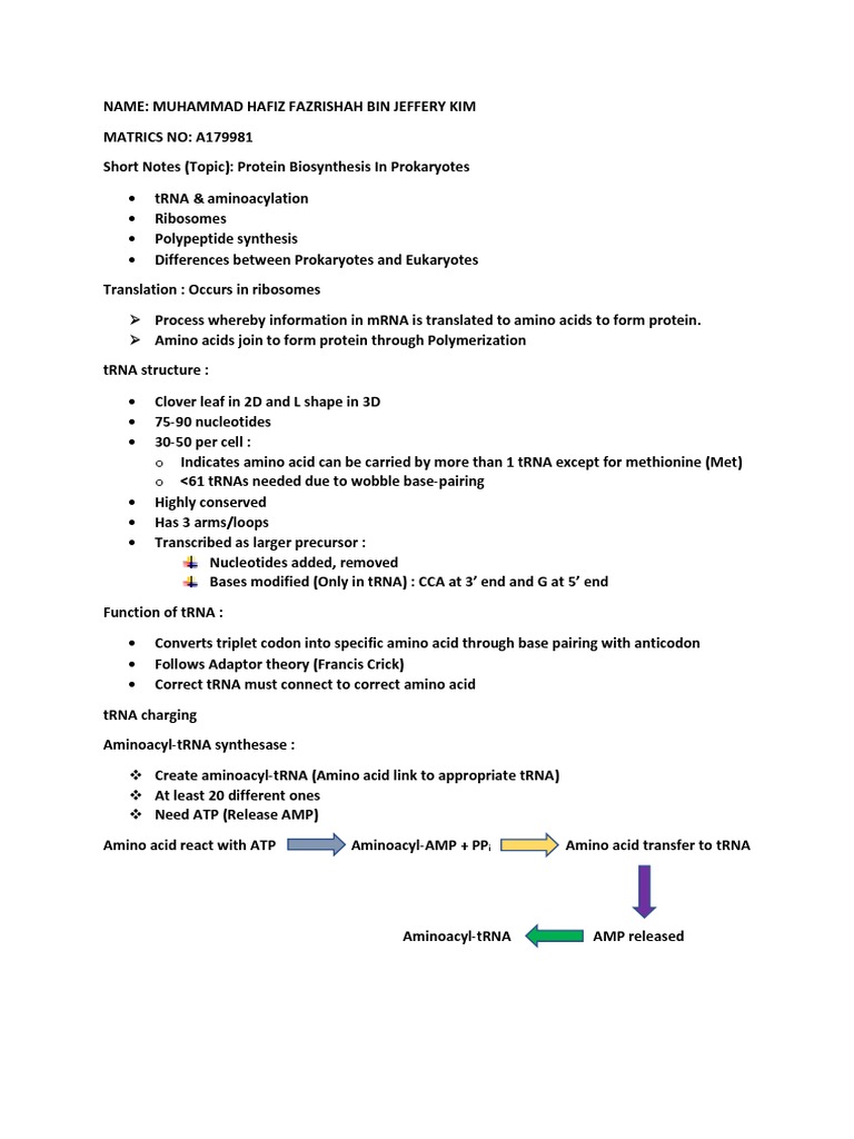 Bio Short Notes Final | PDF | Ribosome | Translation (Biology)