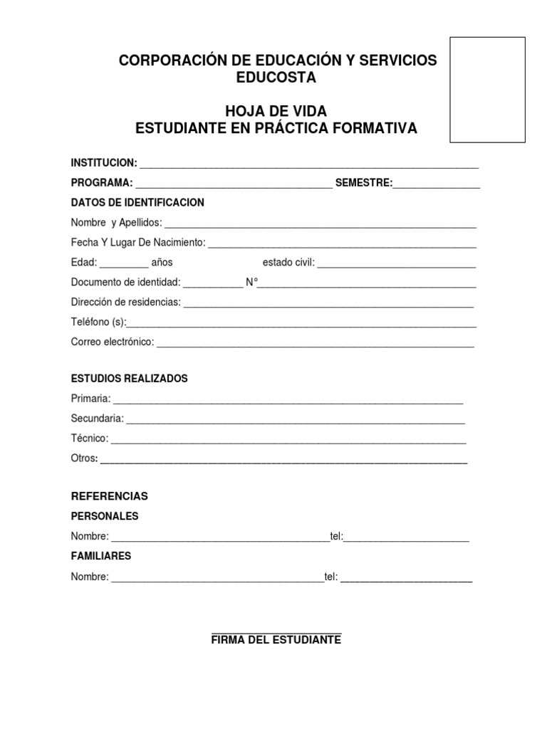Formato Sin Logo PDF