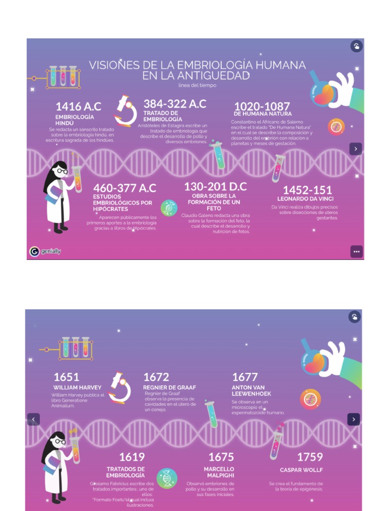 Línea del tiempo embriología | PDF