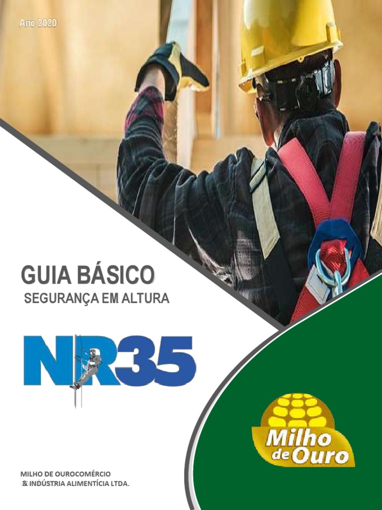 Guia Prático NR 35 | PDF