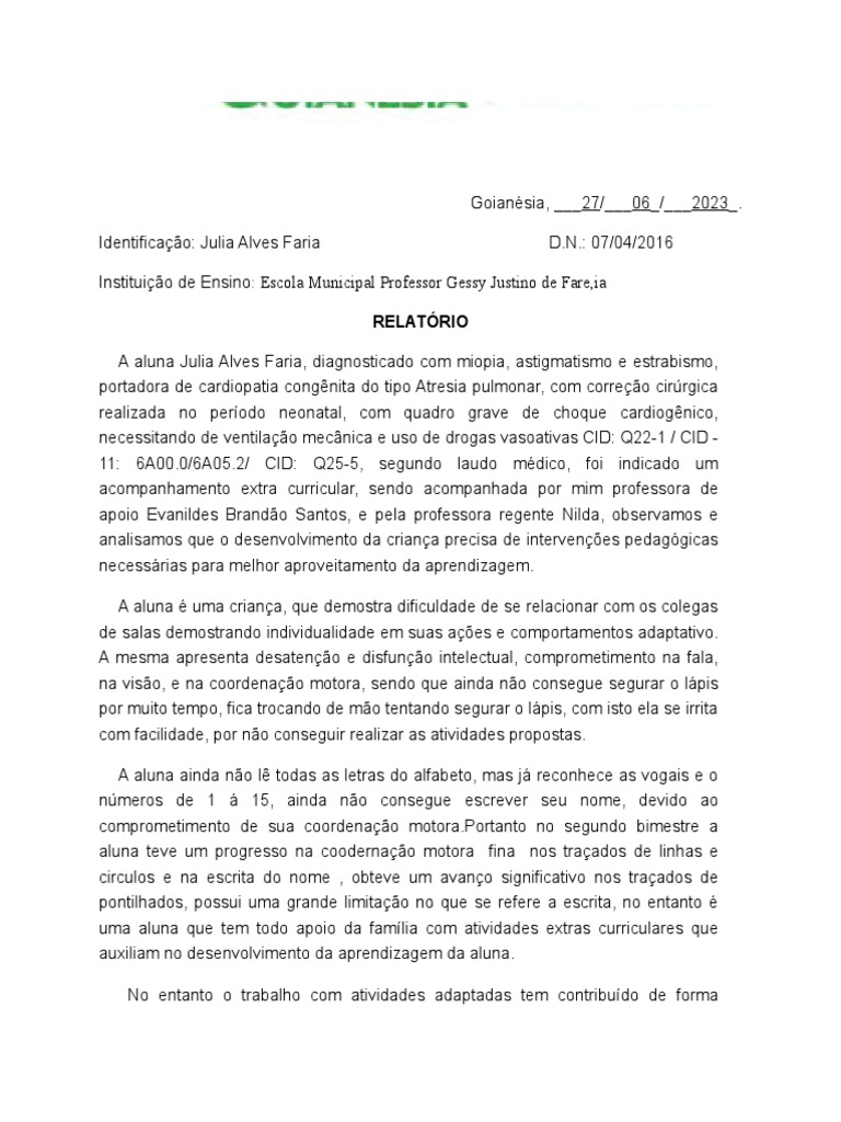 Modelo de Relatorio Da K Julia 2023 | PDF Modelo de Relatorio Da K Julia 2023 | PDF