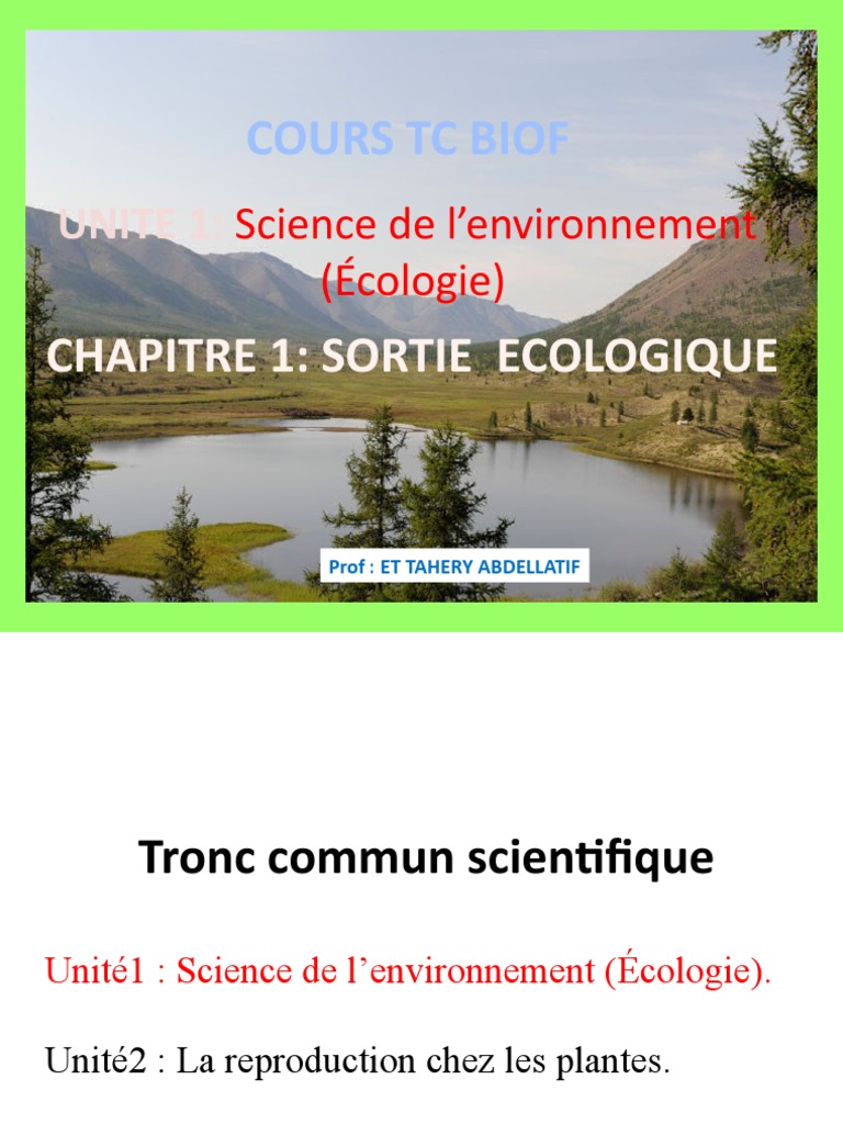 Sortie Écologique | PDF | Écologie | Plantes