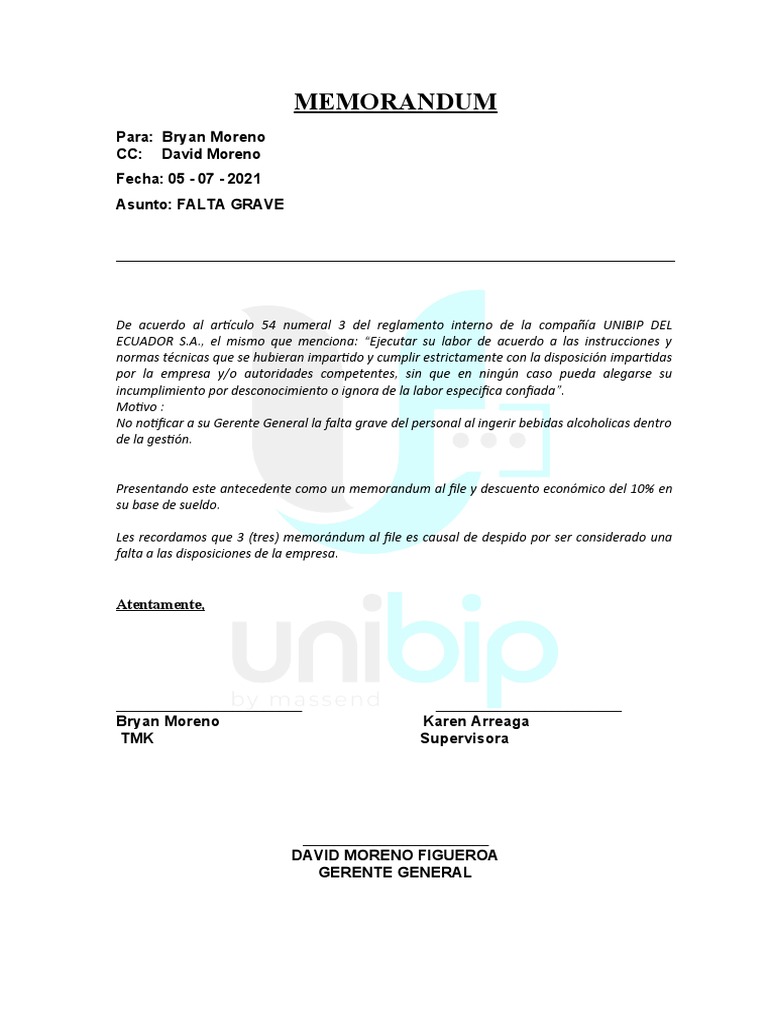 Memorándum sobre falta grave en UNIBIP | PDF
