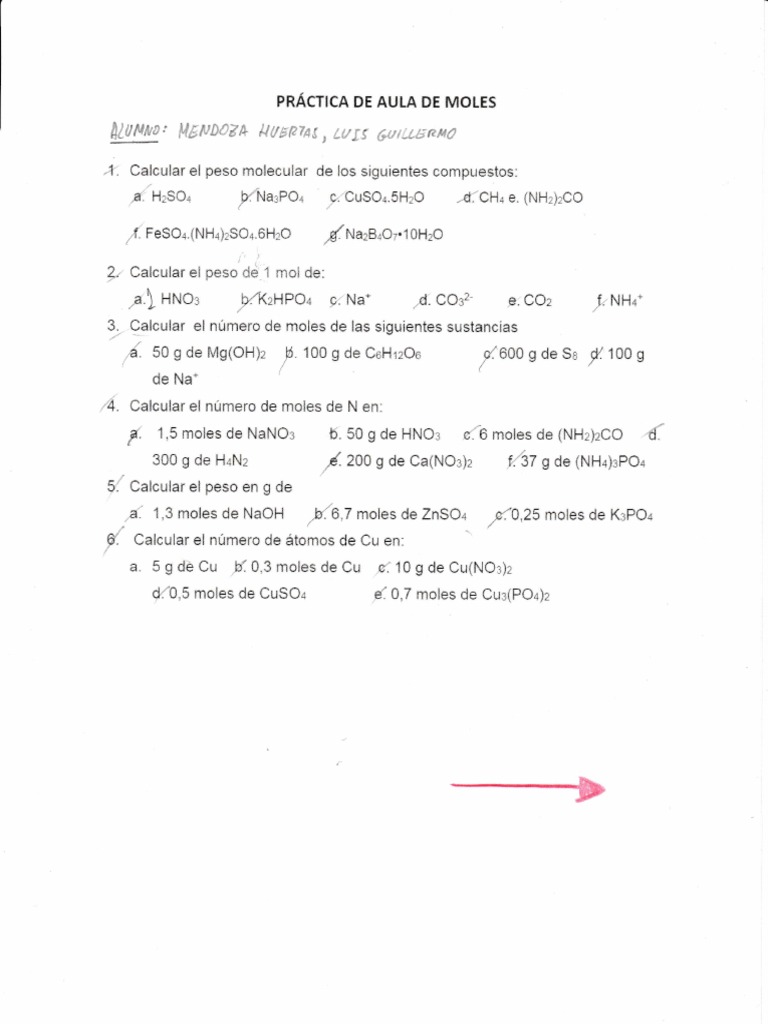Práctica 5 Moles Guillermo | PDF