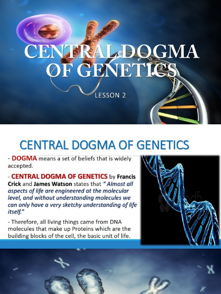 Centraldogma | PDF