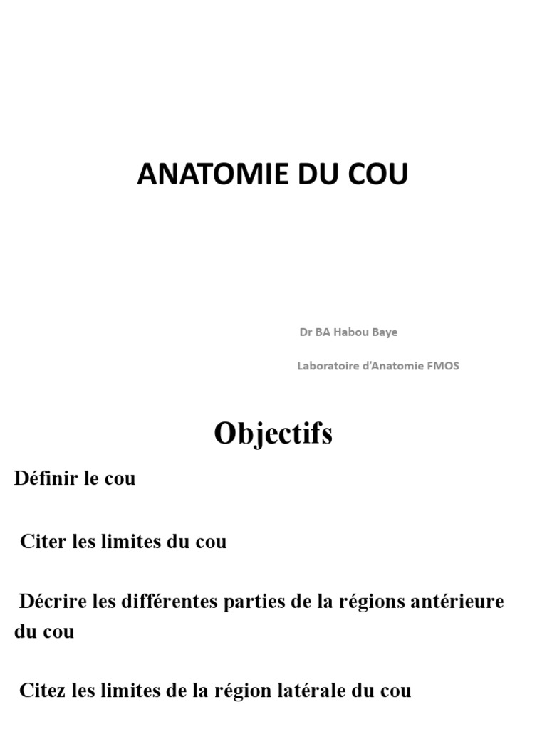 Anatomie Du Cou 1 | PDF | Vertèbre | Anatomie