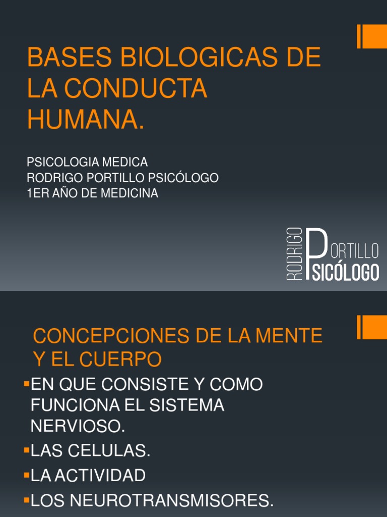 Unidad Ii Bases Biologicas De La Conducta Humana Pdf Descargar Gratis