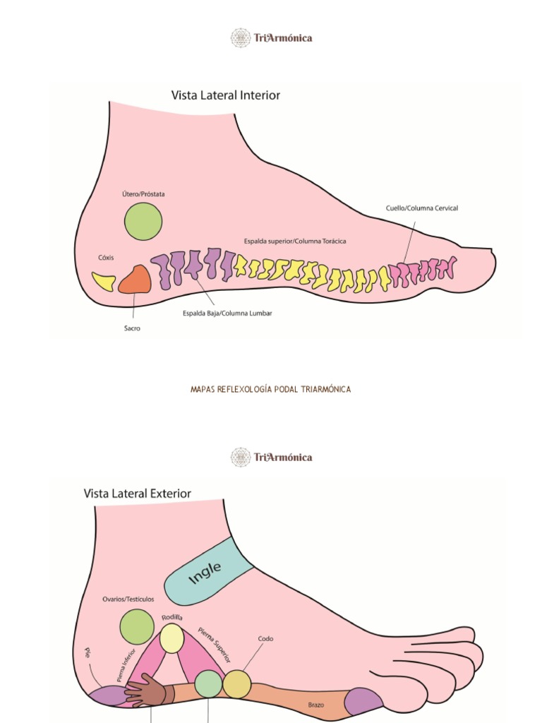 Mapas Reflexología Podal 1 | PDF