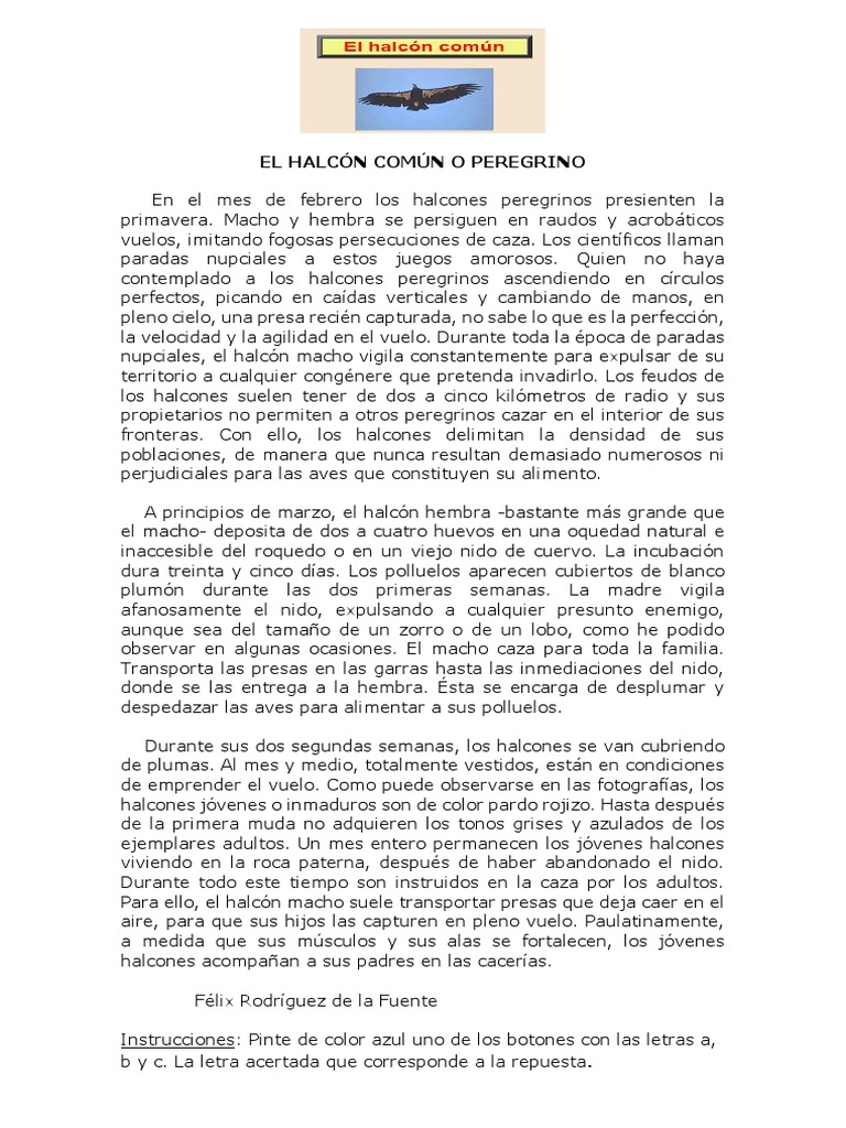 El Halcón Común o Peregrino | PDF | Aves | Depredación