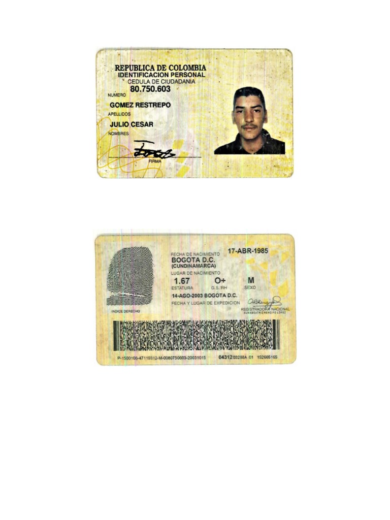 Cedula A Color JULIO | PDF