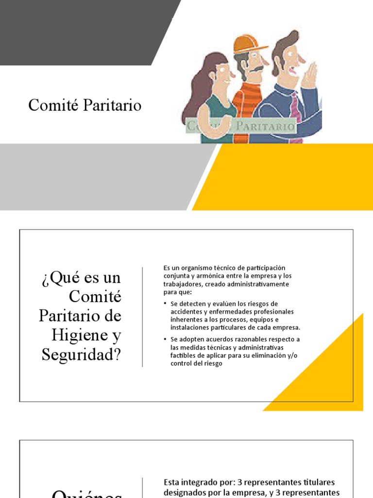 Qué Es Un Comité Paritario de Higiene | PDF