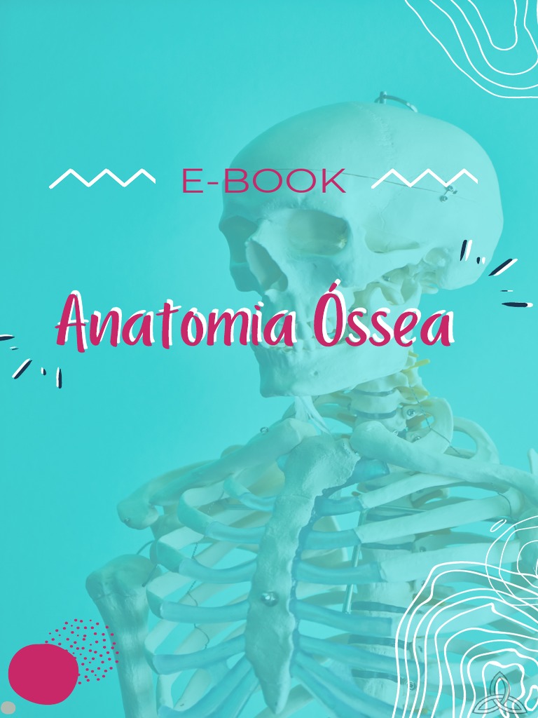 eBook Anatomia Óssea | PDF