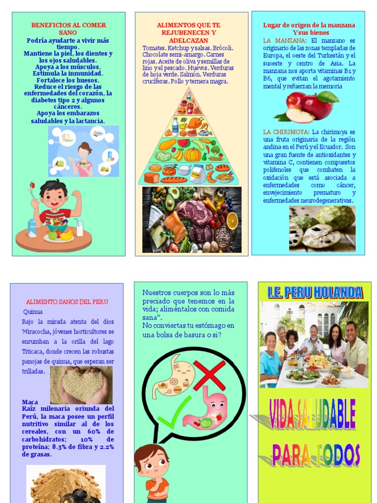 Triptico Nuevo | PDF | Alimentos | Vegetales