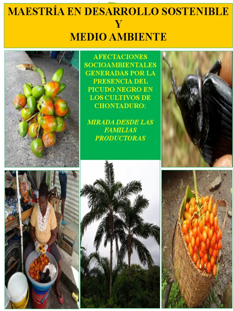 Dueñas Chacon Jane C 2017 | PDF