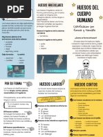 Cambios Modic Qué Son, Tipo y Diagnóstico InfoEspalda | PDF | Cirugía ...