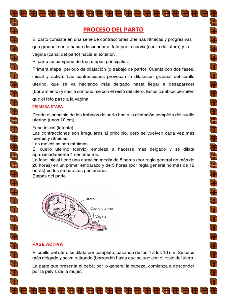 Proceso Del Parto | PDF | Parto | El embarazo