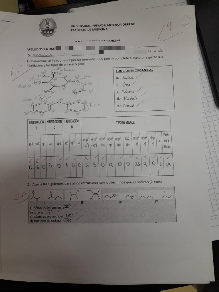 Pasos 2componente Quim | PDF
