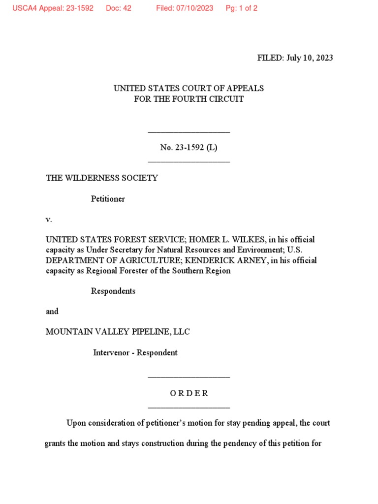 Stay Granted in MVP JNF Case | PDF