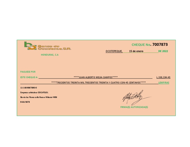 Cheque Normal | PDF