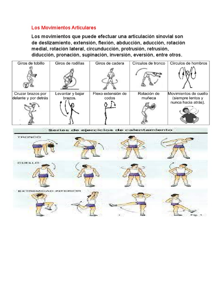 Los Movimientos Articulares | PDF