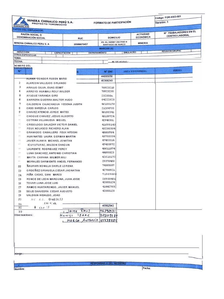 Formato De Participacion Pdf