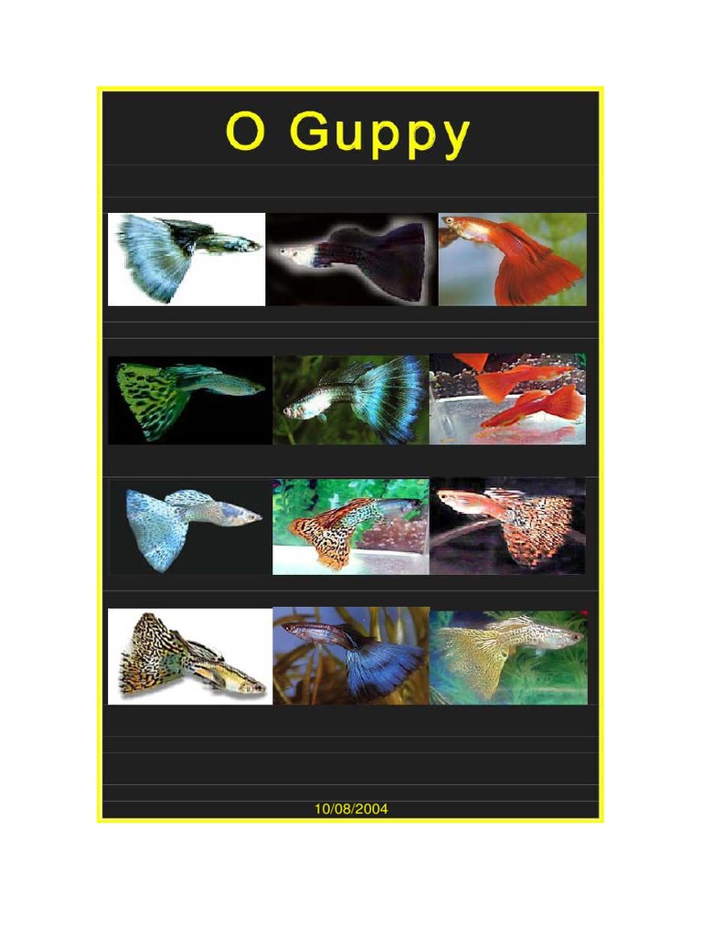 Características do Peixe Guppy | PDF | Bem-estar