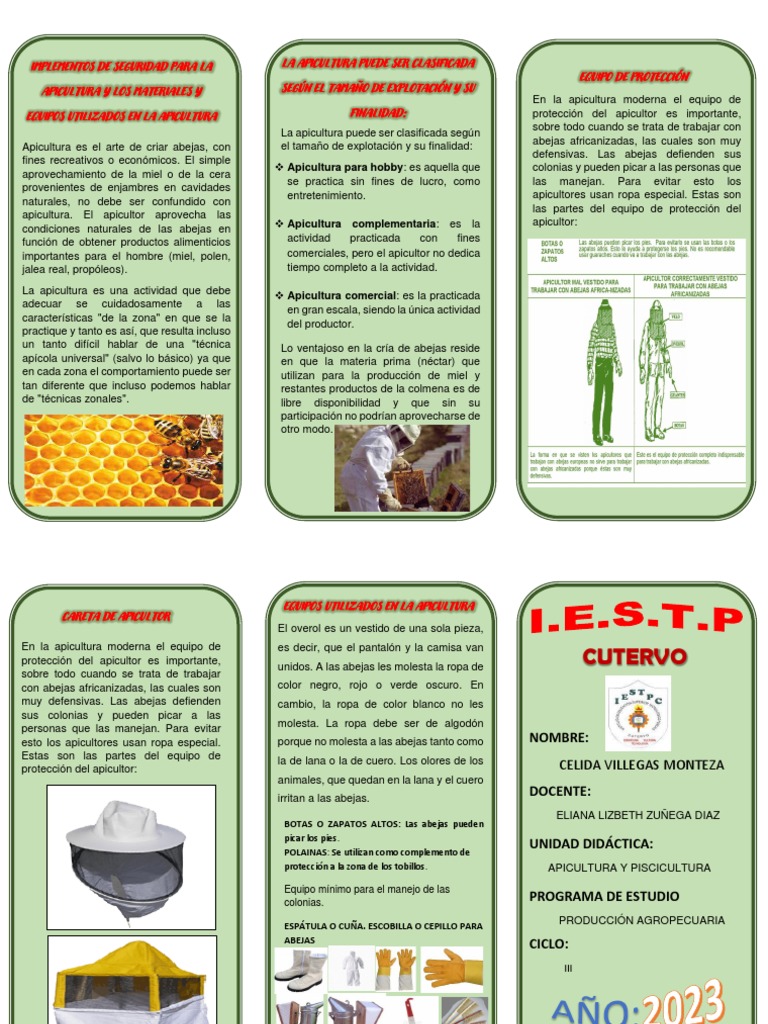 Triptico 2022-2 | PDF