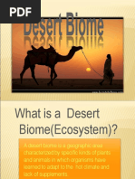 Deserts of Asia | PDF