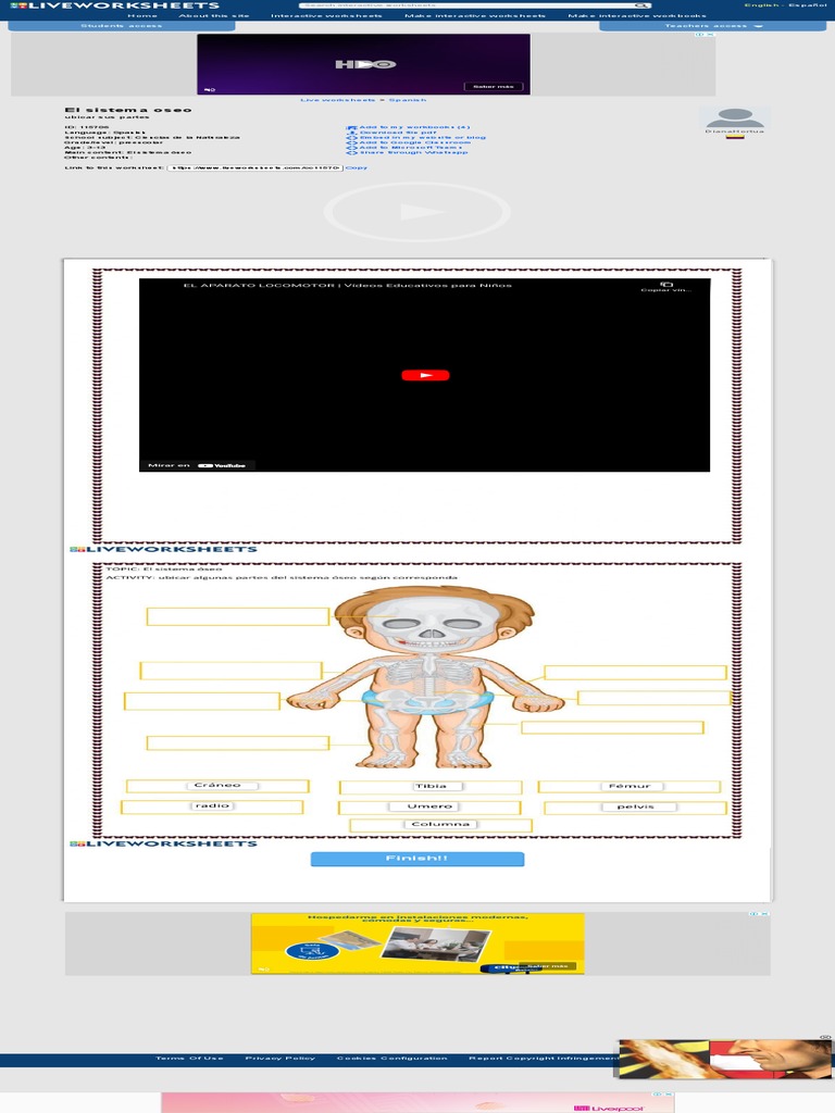 El Sistema Oseo Worksheet Pdf
